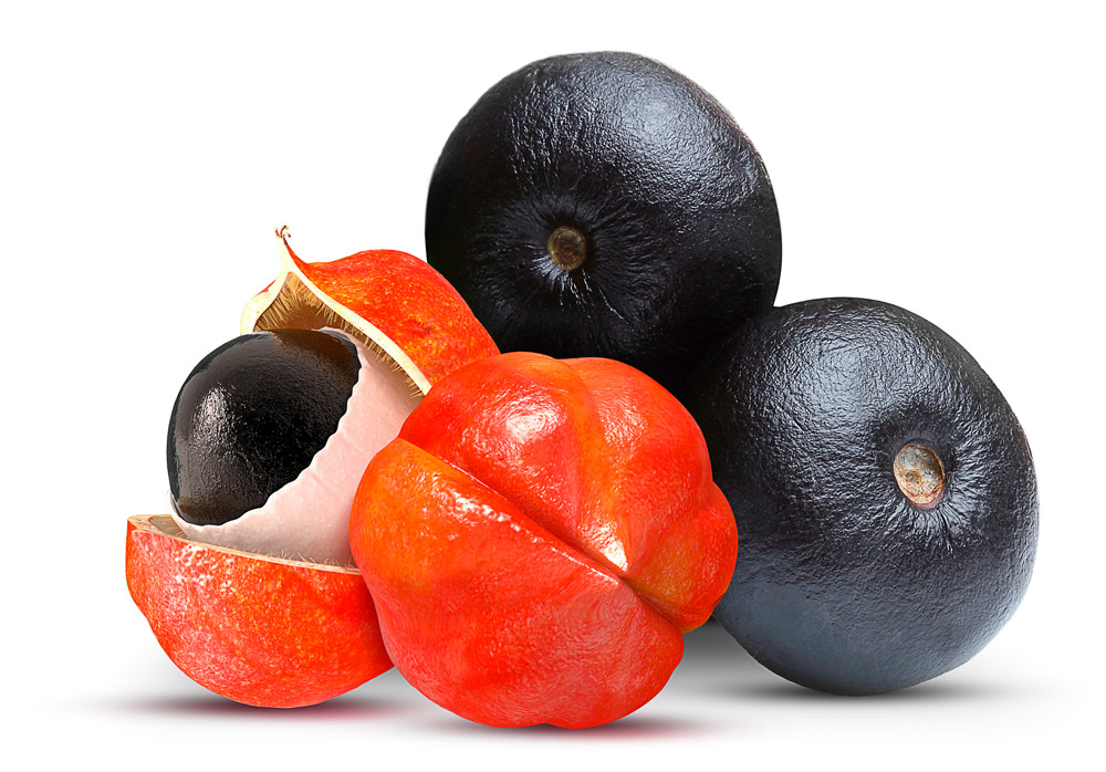 Guaraná: Qué es, para qué sirve, beneficios y cuándo tomarlo